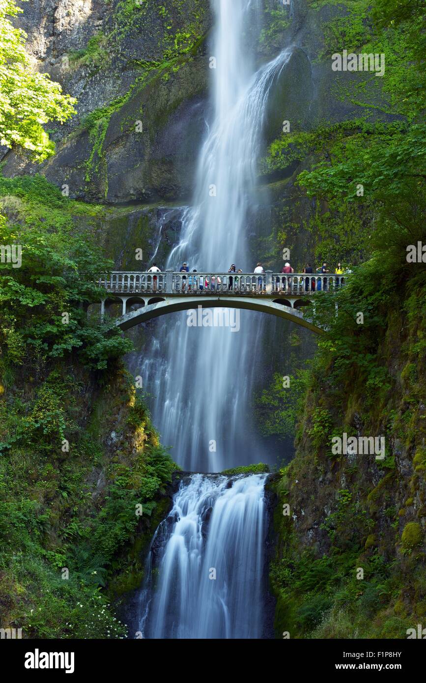 Multnomah Falls Oregon - Oregon Waterfalls Photography Collection ...