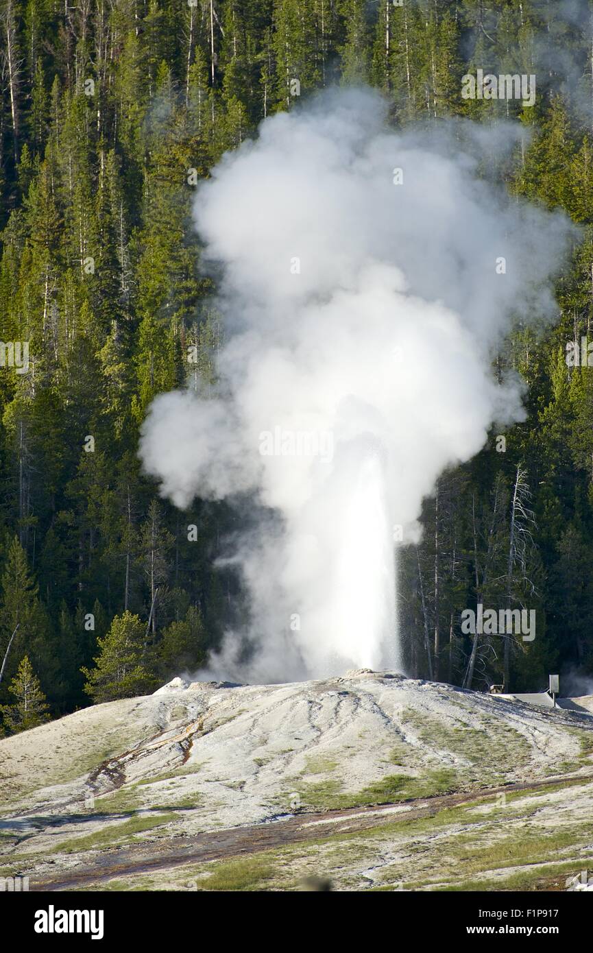 Geyser in Yellowstone N.P. - Vertical Photography. Yellowstone Caldera ...