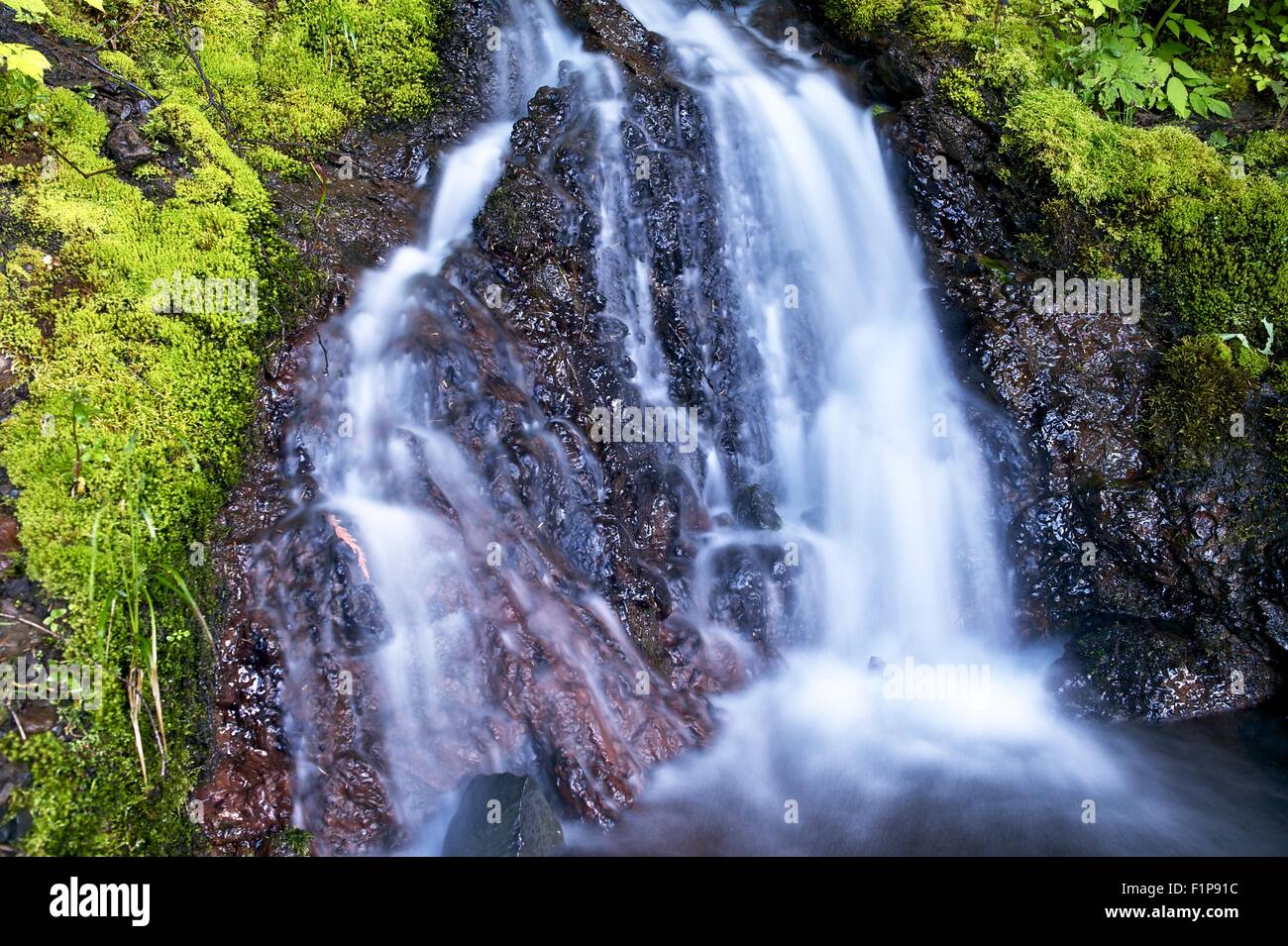 Small Olympic Waterfall - Waterfalls Photography Collection. Olympic ...
