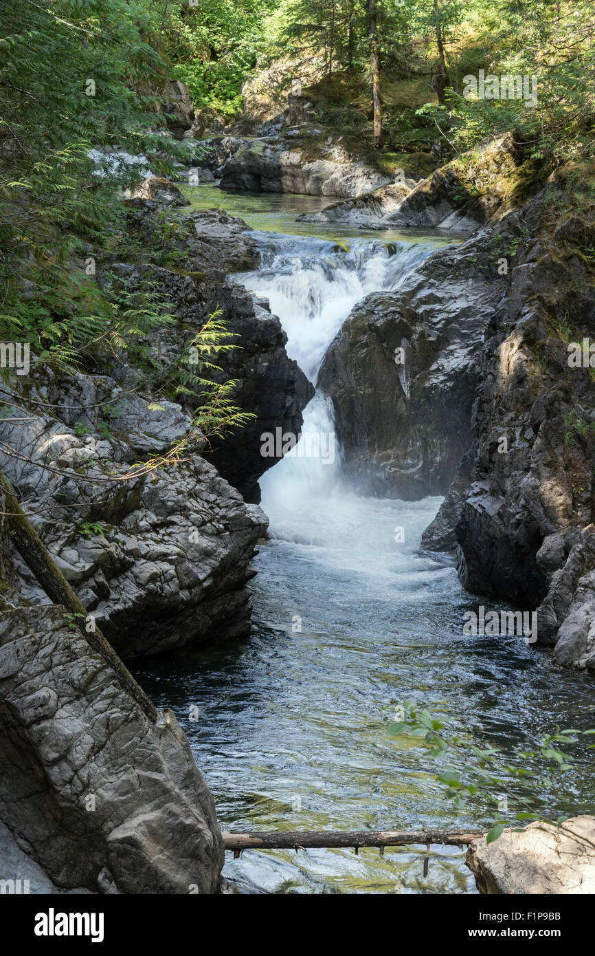 The little qualicum river provincial park hi-res stock photography and ...