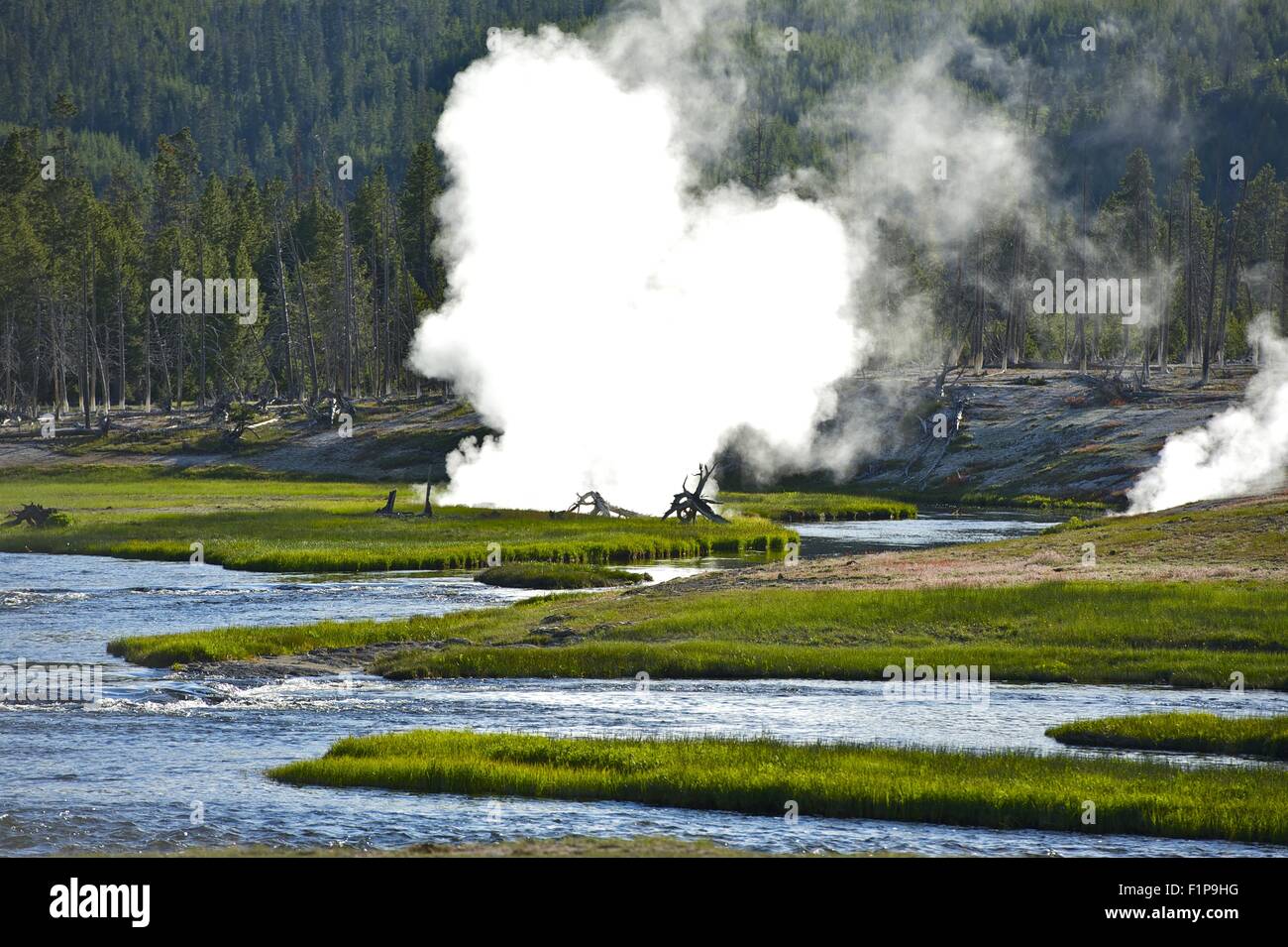 Yellowstone Scenery - Yellowstone Caldera. Half of the World's ...