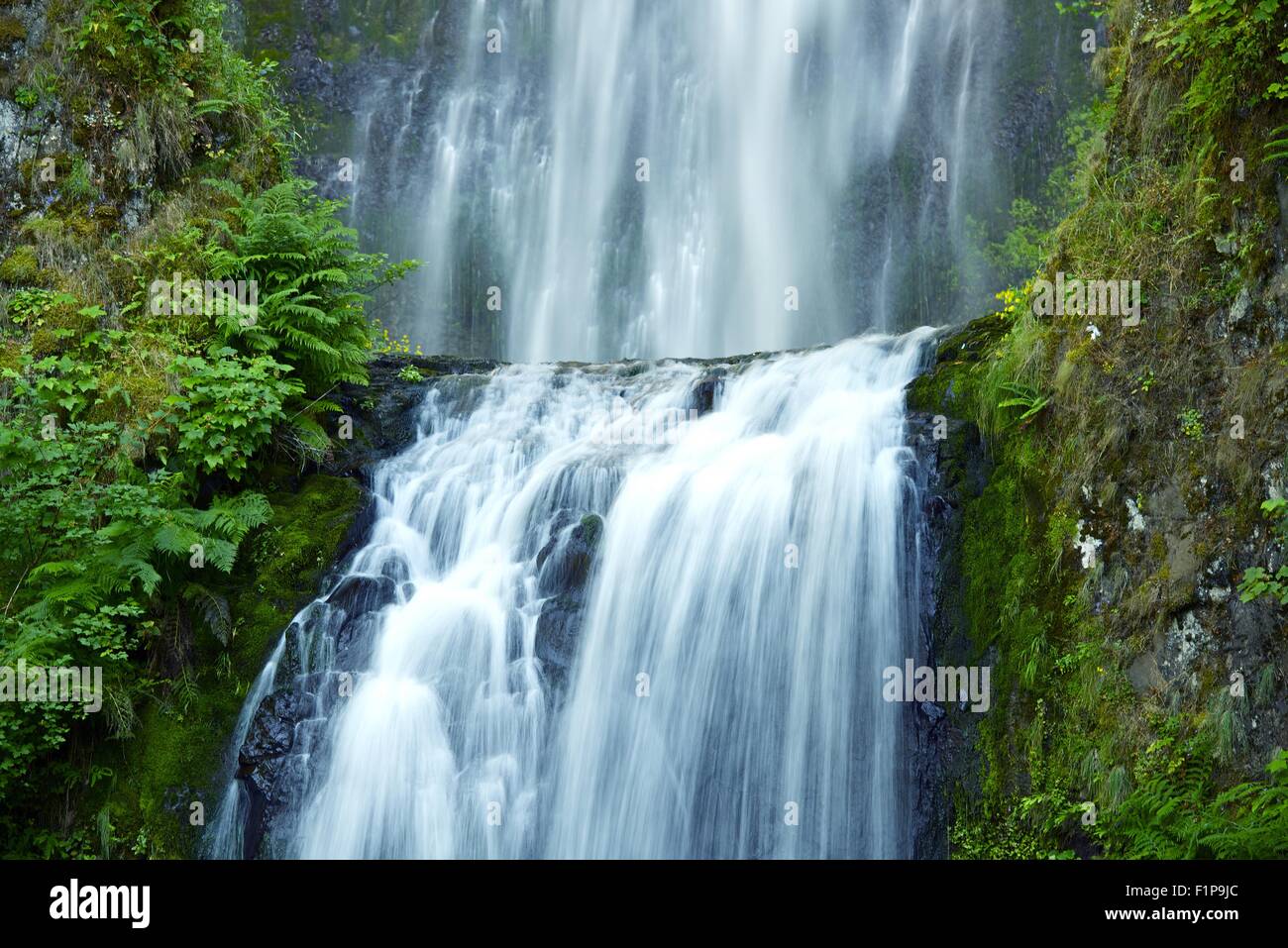 Multnomah Waterfalls in Oregon, USA. Multnomah Falls Closeup. Oregon ...