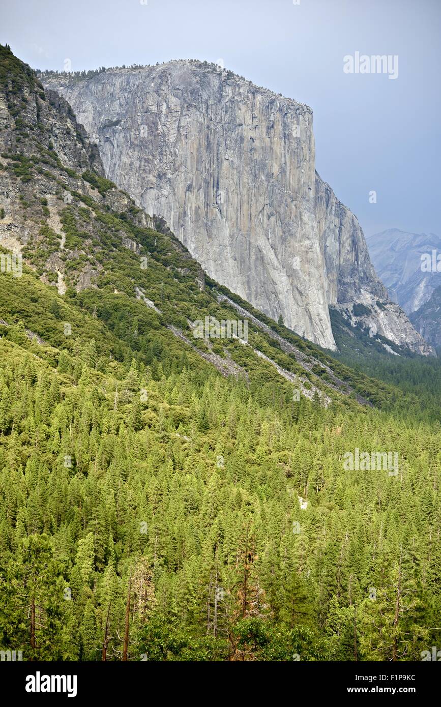 Yosemite National Park - Yosemite Valley in Vertical Photography ...