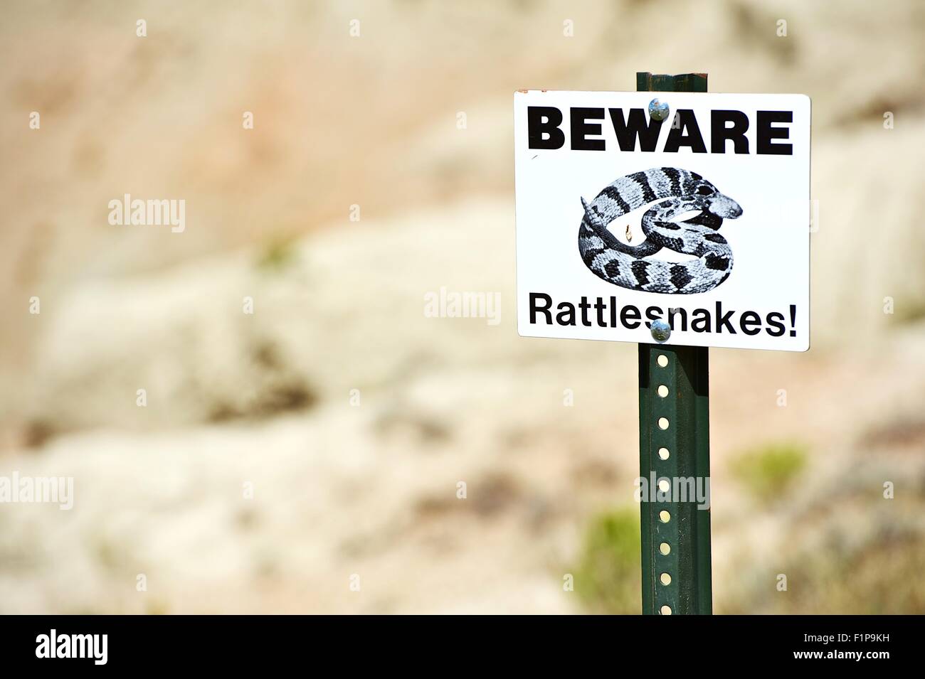 Beware Rattlesnakes Warning Sign. Signage Photo Collection Stock Photo ...