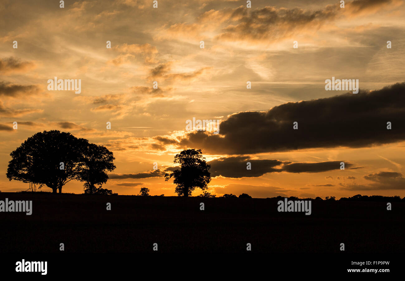 Dorset Autumn Sunset Stock Photo - Alamy