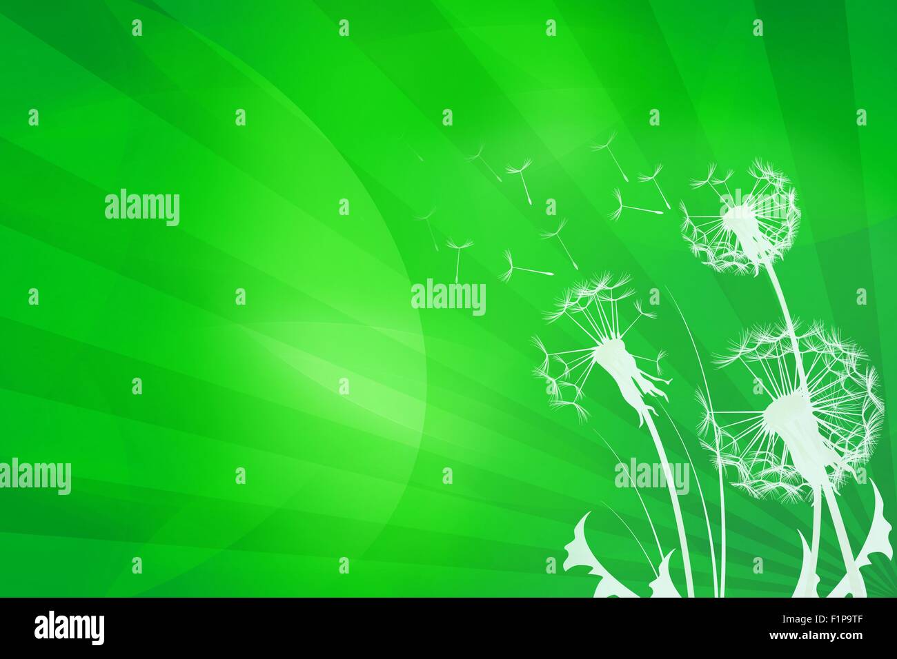 Dandelions Green Background Illustration. Simple White Dandelions ...