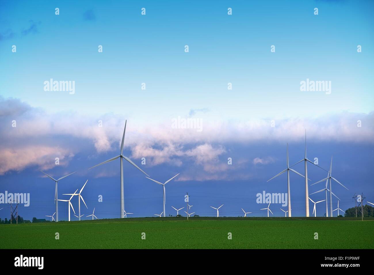 Alternative Energy Landscape - Wind Turbines Farm in Minnesotas Mower ...