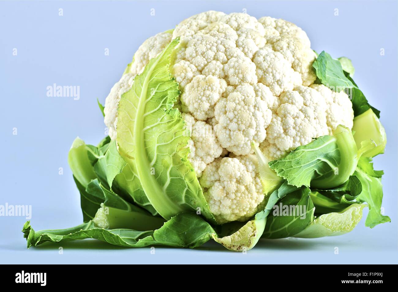 Raw Cauliflower Closeup Studio Shot. Fresh Raw Cauliflower. Food Photo ...