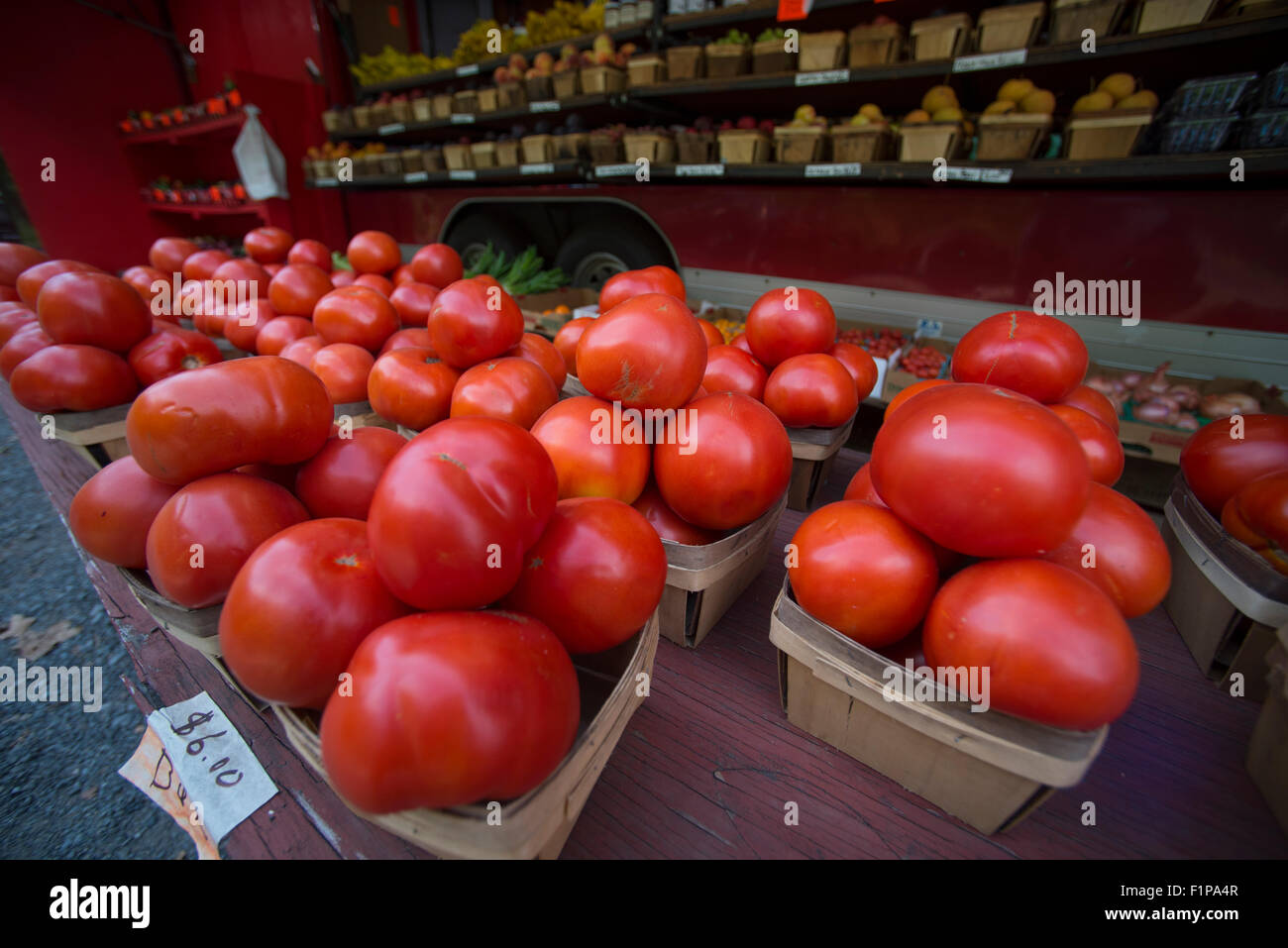 Food tomatoes tomato Mountain Fresh variety on sale at a farm market in ...