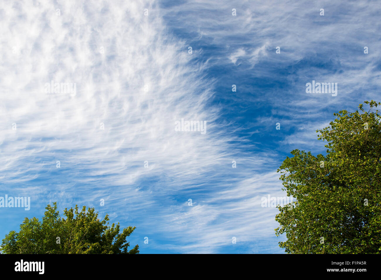Cirrus fibratus hi-res stock photography and images - Alamy
