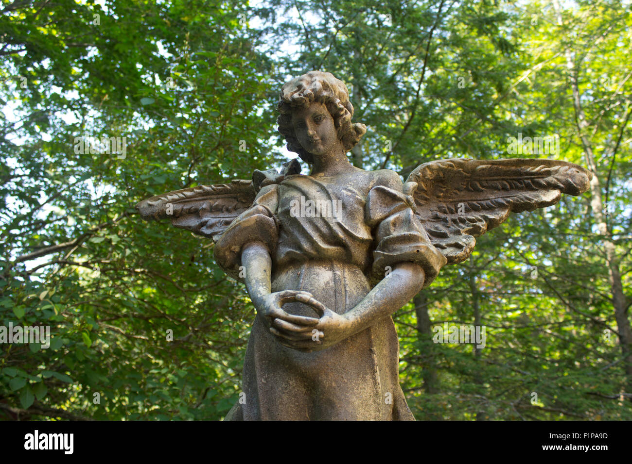 Angel statue in a forest Stock Photo - Alamy