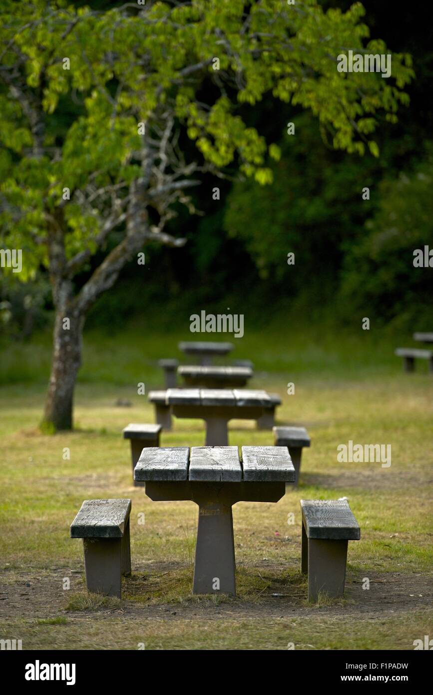 Recreation Site Wood Picnic Benches - Vertical Photo. Recreation Photo ...