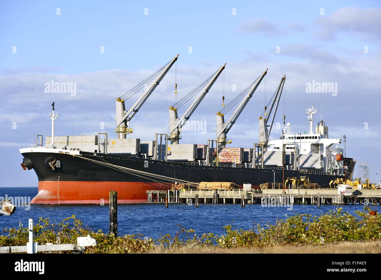 Commercial Ship with Cranes. Sea Transportation and Logistics Photo ...