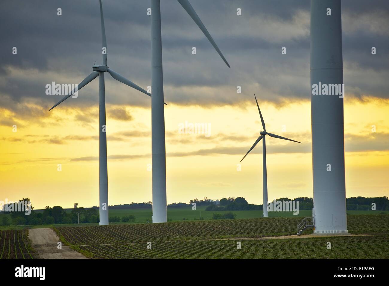 Wind Energy Overlook - Wind Turbines - Mower County, MN, USA. Sunset ...