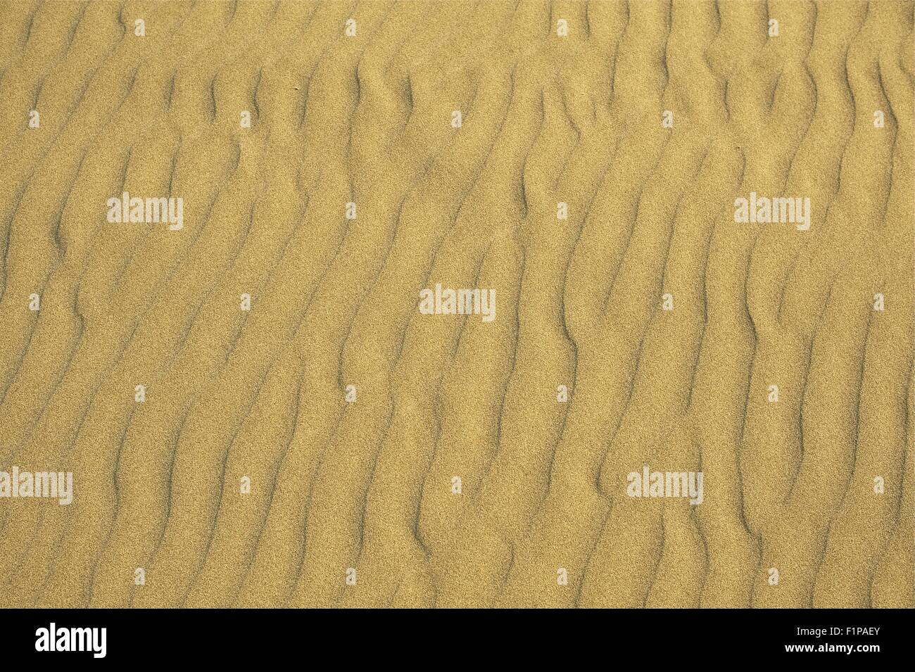 Sandy Beach Background - Sand Pattern Photo. Background Photo ...