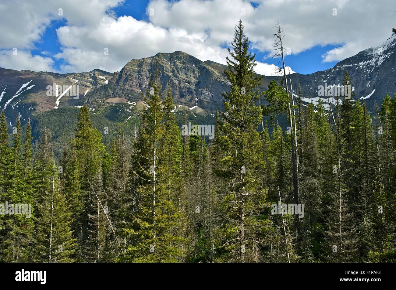 Montana USA - Montana Mountains Landscape. Scenic Montana State. Nature ...