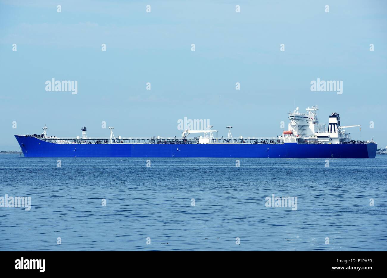 Large Commercial Ship - Blue Empty Commercial Container-Ship ...