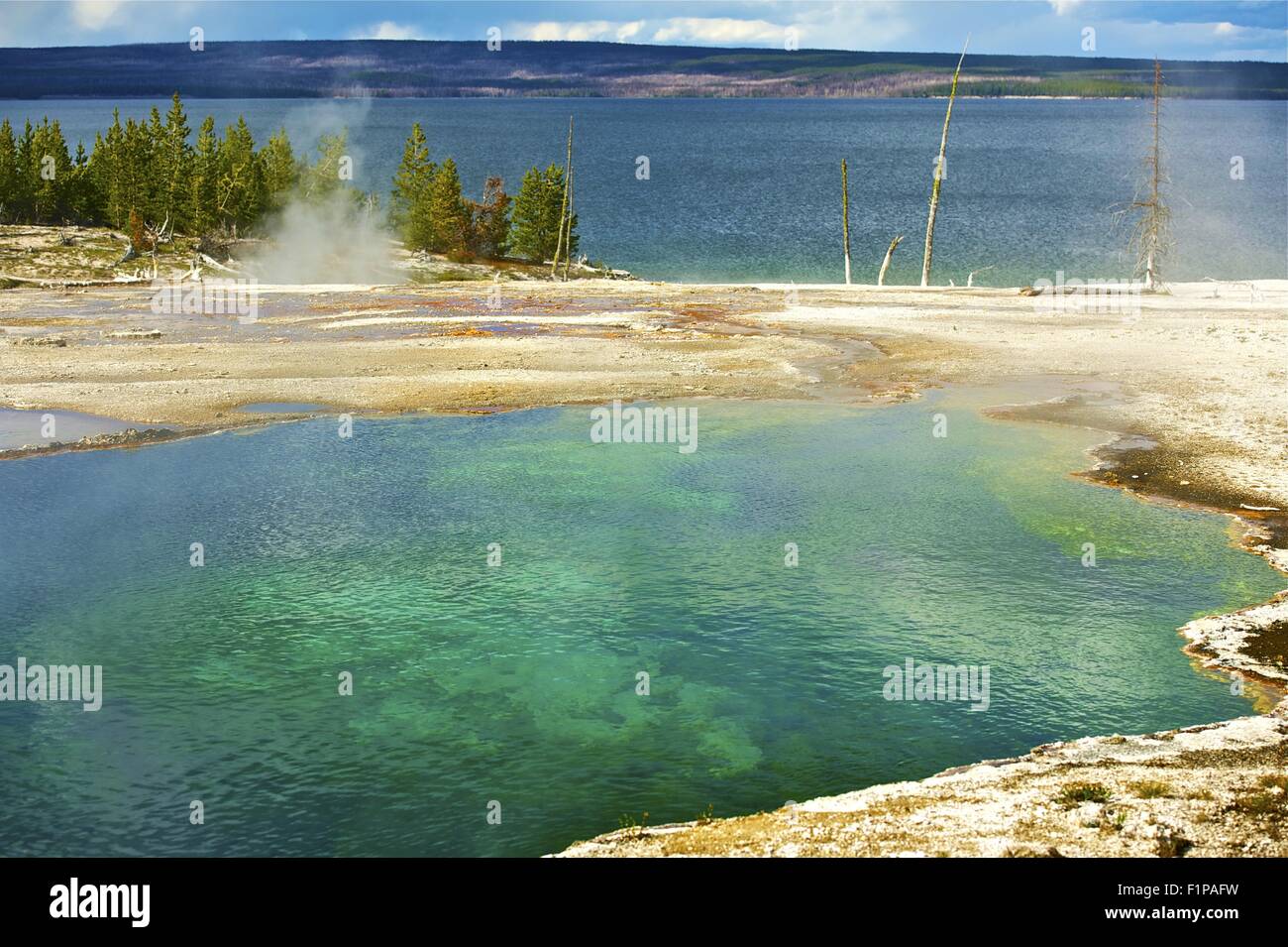 Caldera Pool - Hot Water Geyser Pool in Yellowstone National Park, WY ...