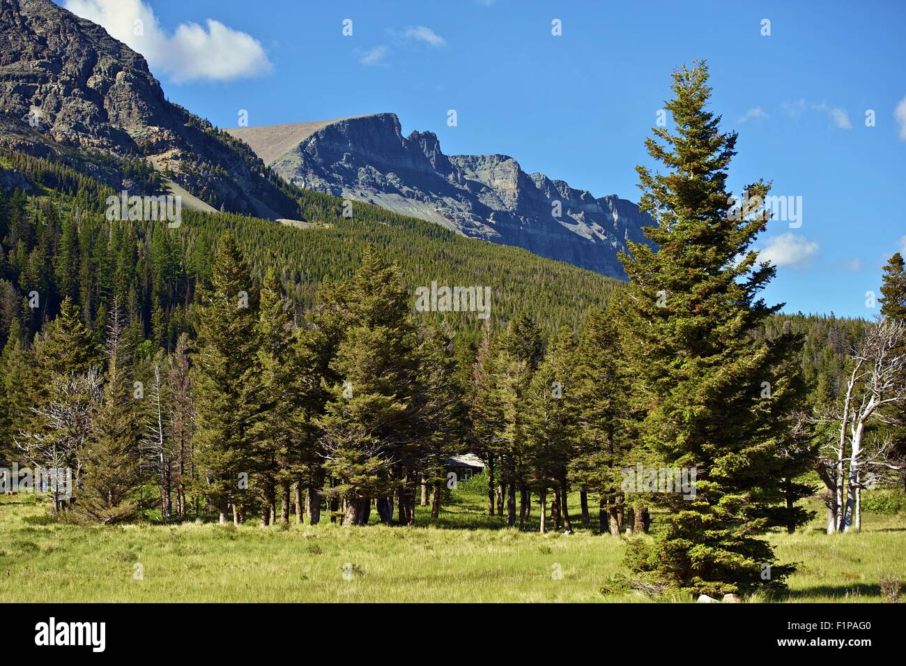 Cascades Mountains in North-Western Part of United States of America ...