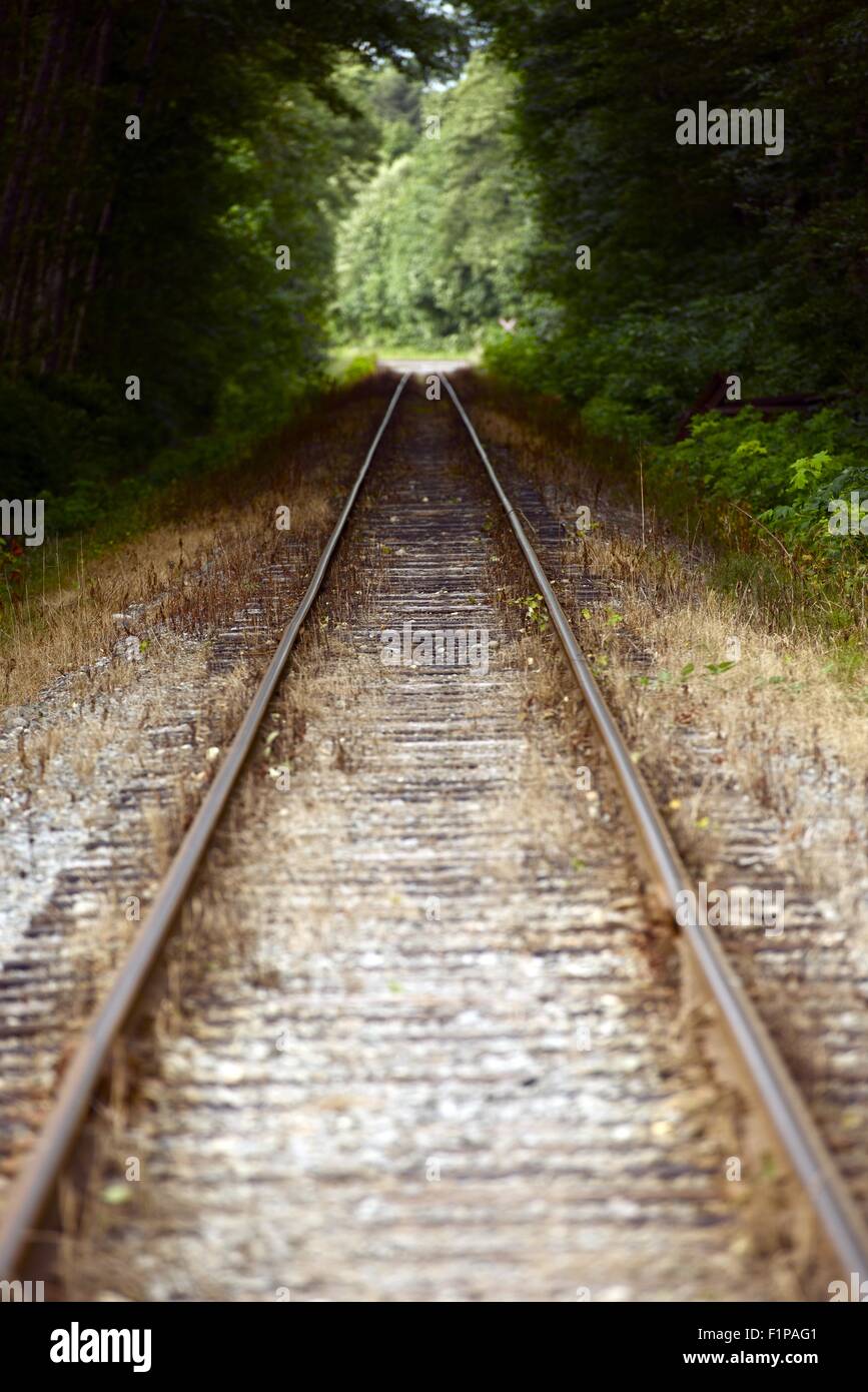 Straight Railroad Tracks Through Forest. Traveling and Destinations ...