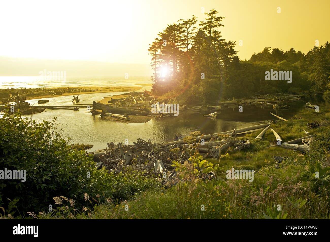 Pacific Coast Sunset - Washington State Pacific Coast Sunset Theme ...