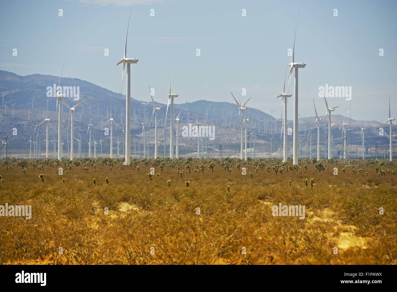 Antelope Valley Wind Turbines Plantation. Mojave, California, USA ...