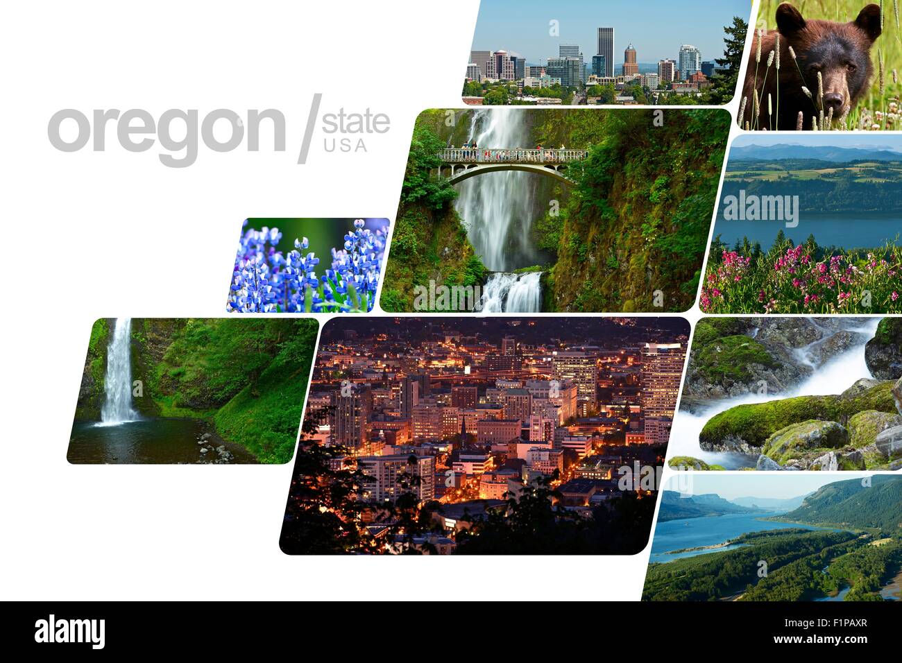 Oregon State Postcard Design - Oregon USA. On The Postcard: Oregon ...