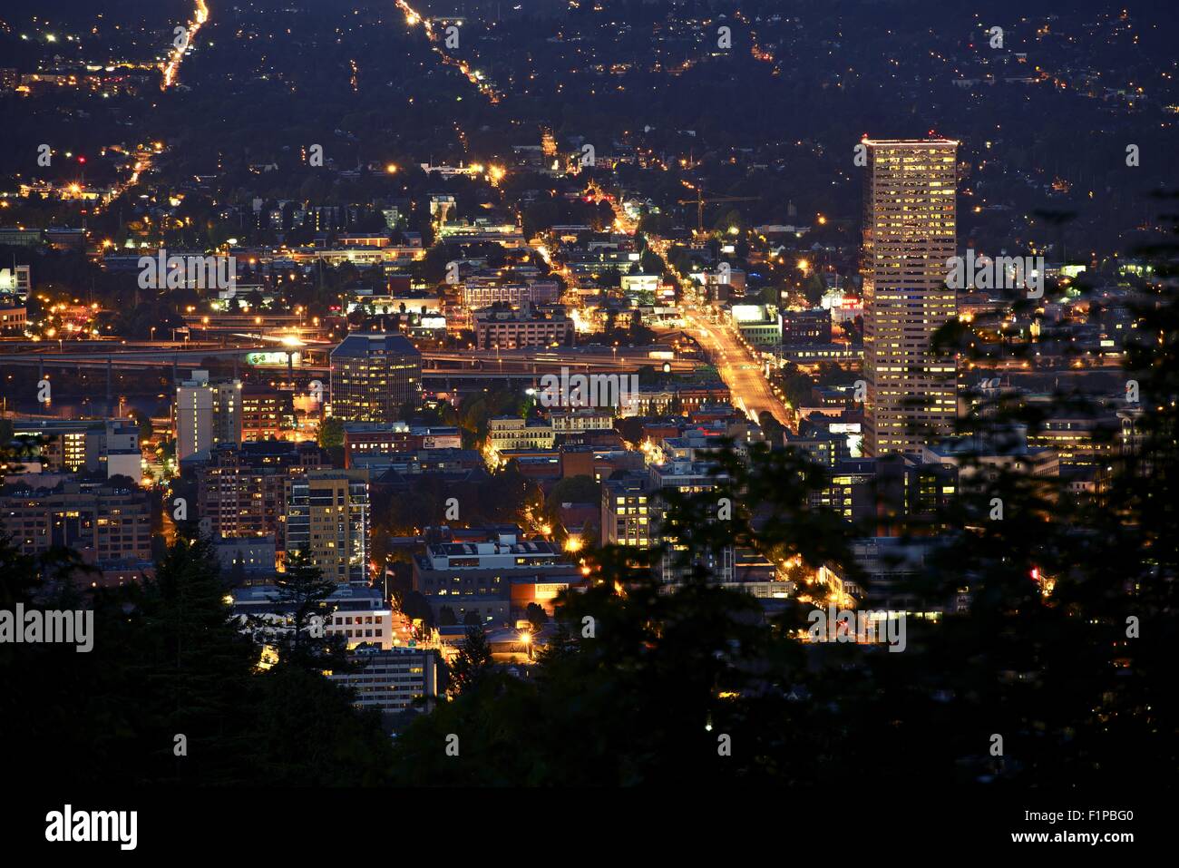 Night panorama downtown portland hi-res stock photography and images ...