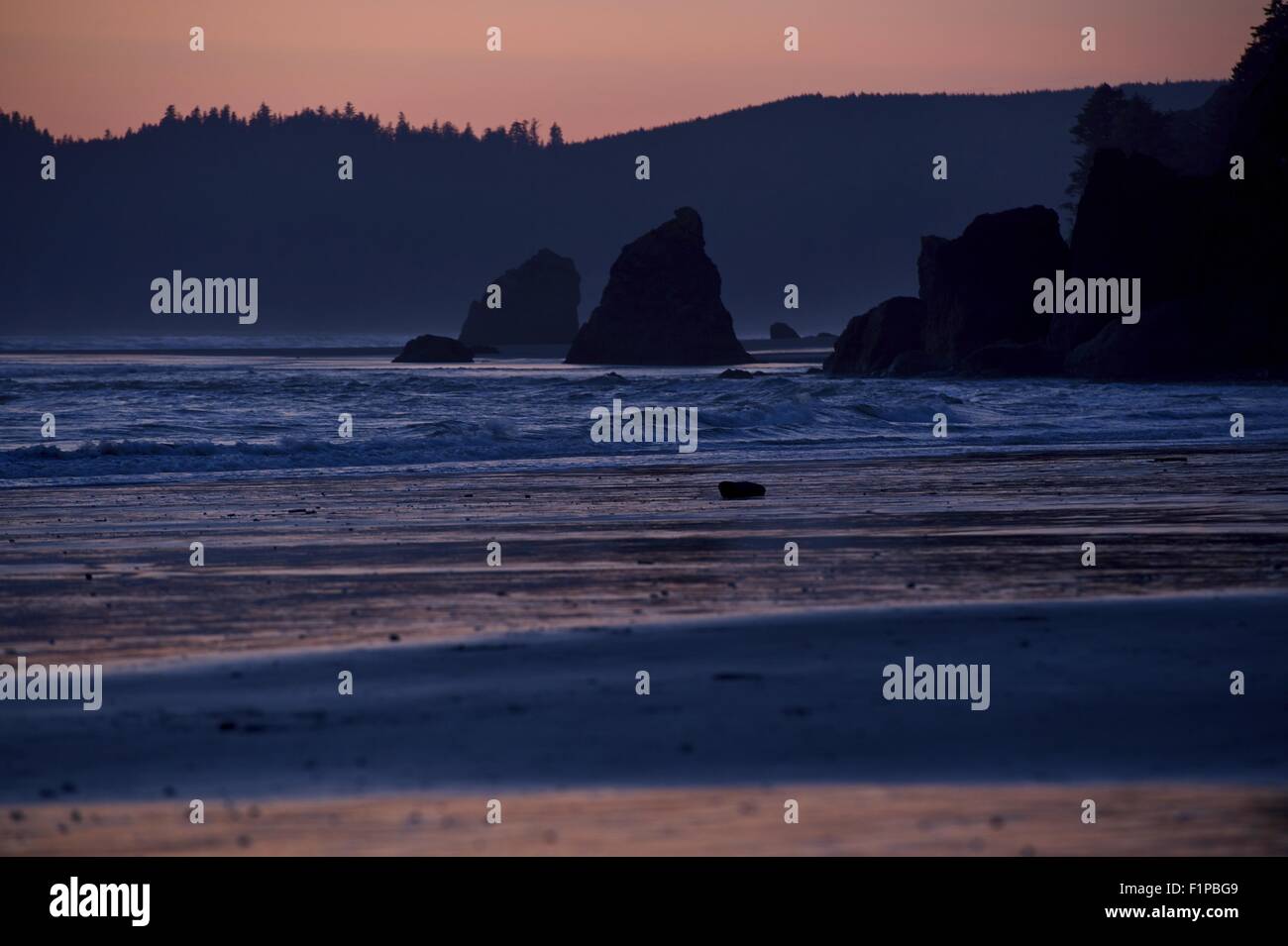 Evening on the Beach - Pacific Ocean - Washington State Shore. Nature ...