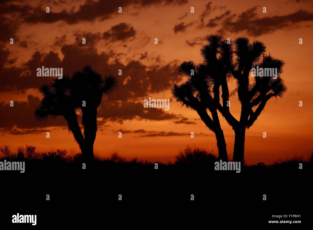 Mojave Desert Sunset - Mojave California, USA. Sunsets Photo Collection ...