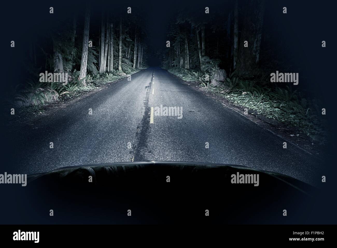 Night Driving Thru Forest - Straight Road and Creepy Dark Forest ... Night Driving Thru Forest - Straight Road and Creepy Dark Forest ...
