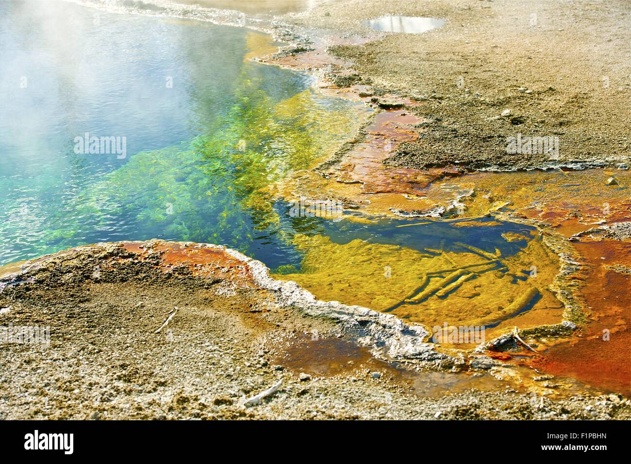 Yellowstone Details - Yellowstone Toxic and Colorful Vulcano Soil ...