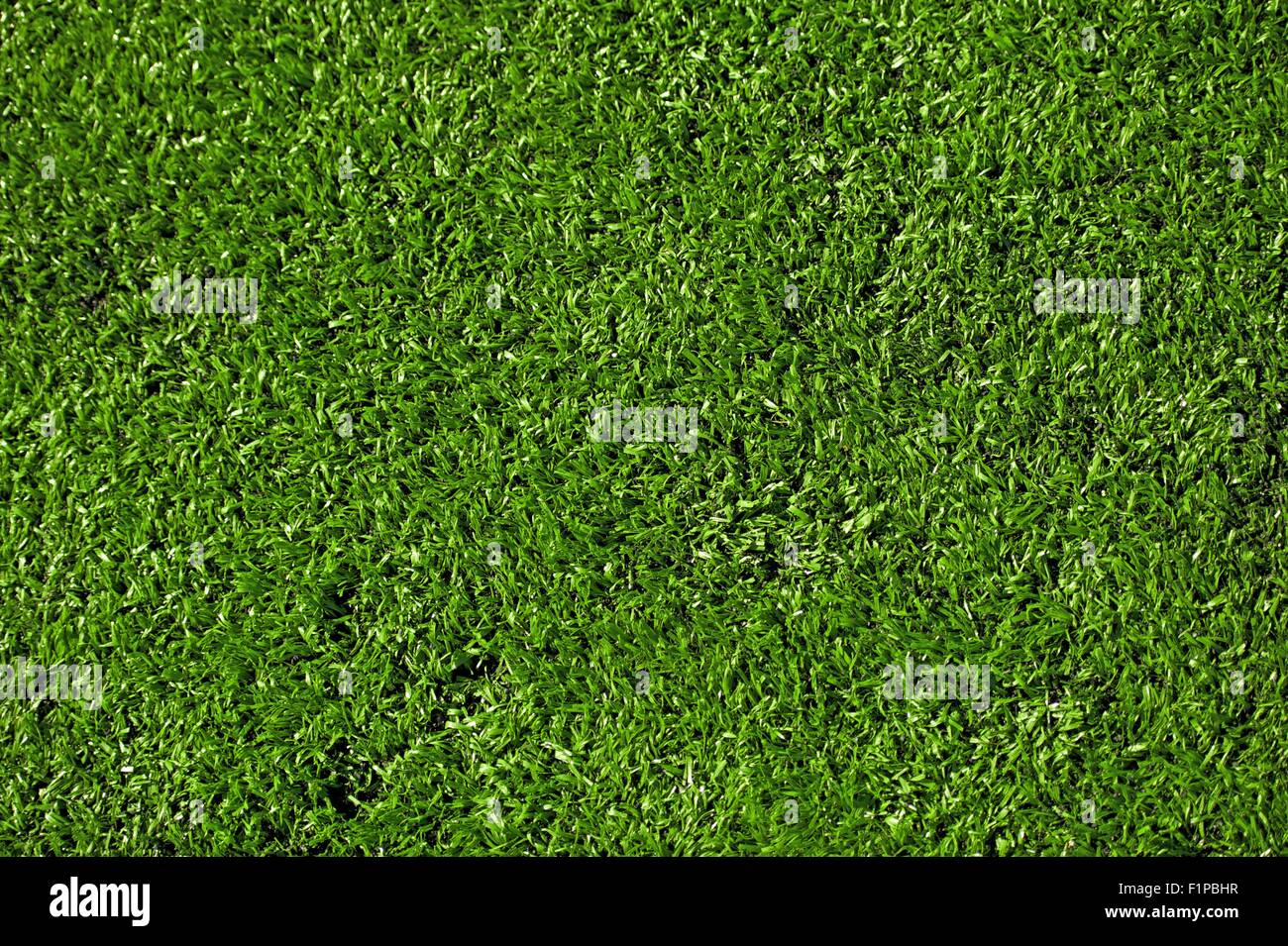 Hi-Res Grass Texture. Fresh Cut Grass Field Background (Closeup Stock ...