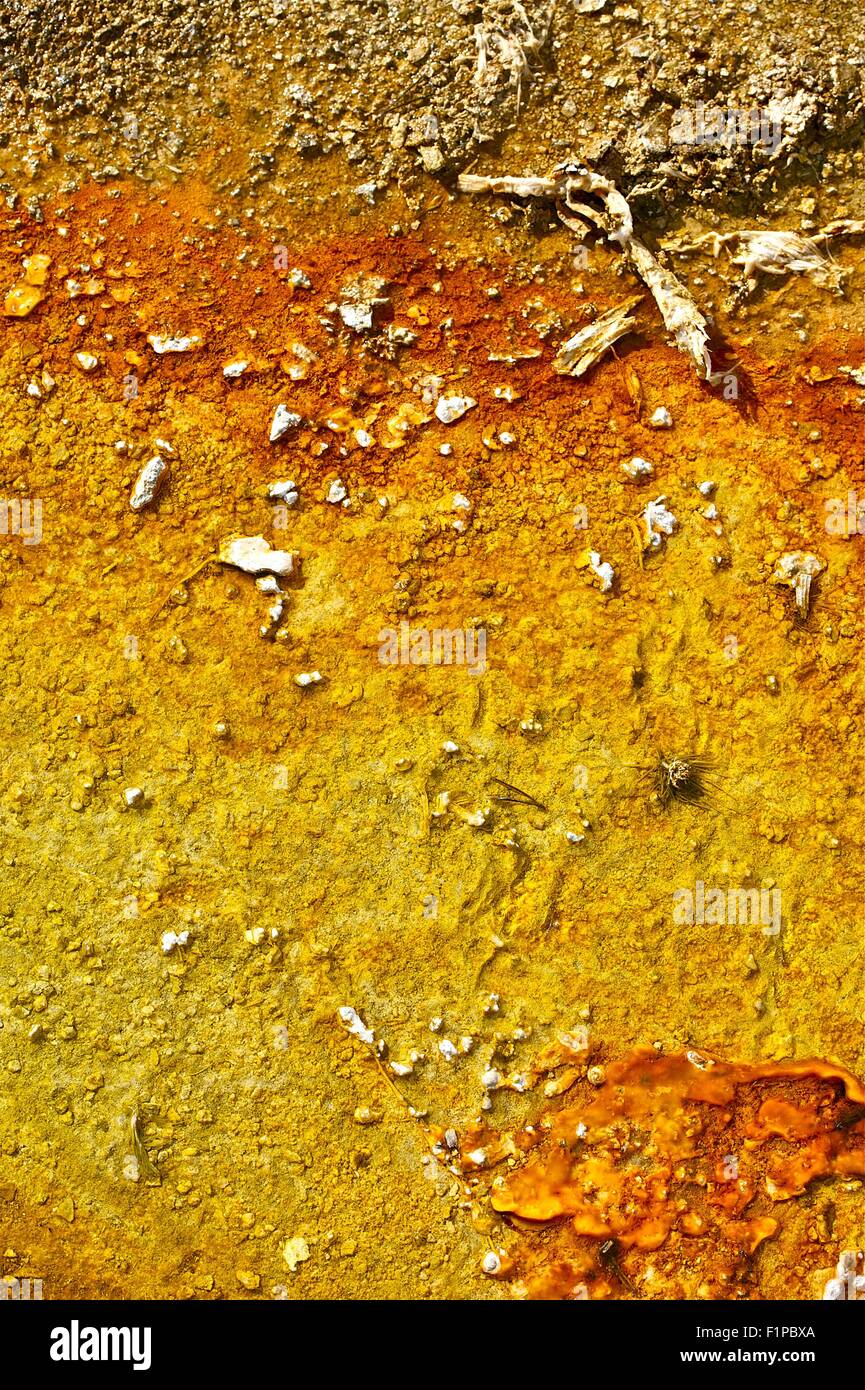 Orange Toxic Soil of Yellowstone. Vertical Closeup Photography ...