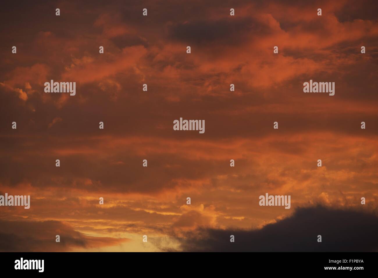 Sunset Red Sky Photo Background. Skies Photo Collection Stock Photo - Alamy
