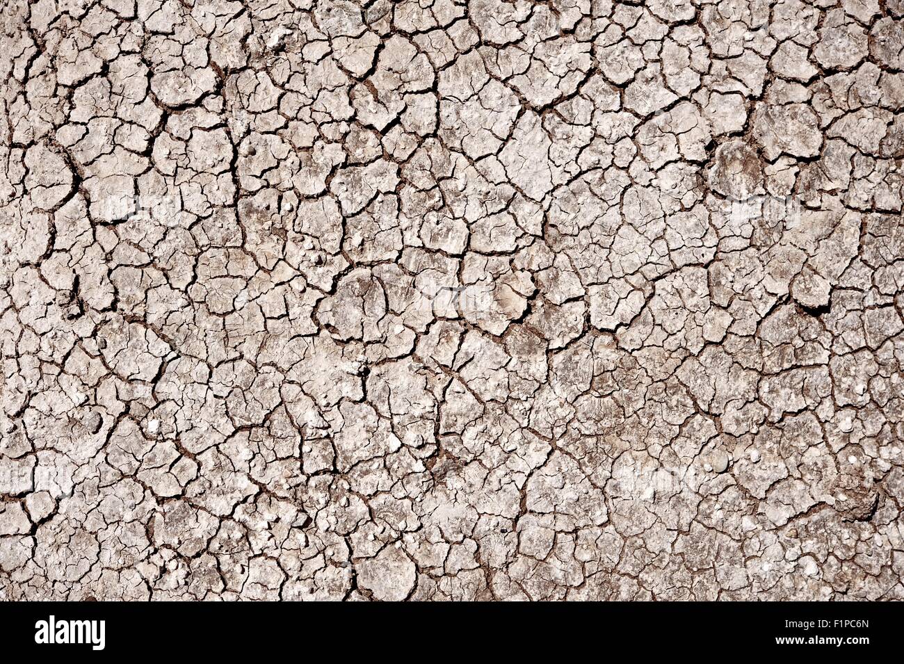 Cracked Ground Background. Natural Drought Theme. Badlands National ...