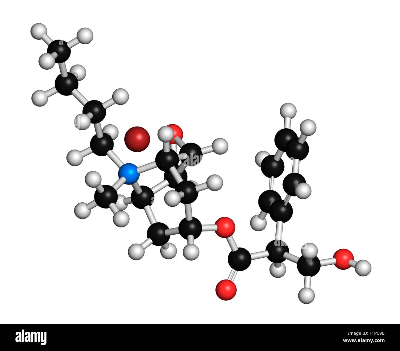 Butylhyoscine Cut Out Stock Images & Pictures - Alamy