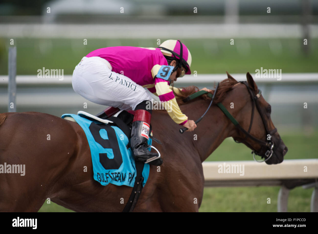 Gulfstream park florida hi-res stock photography and images - Alamy