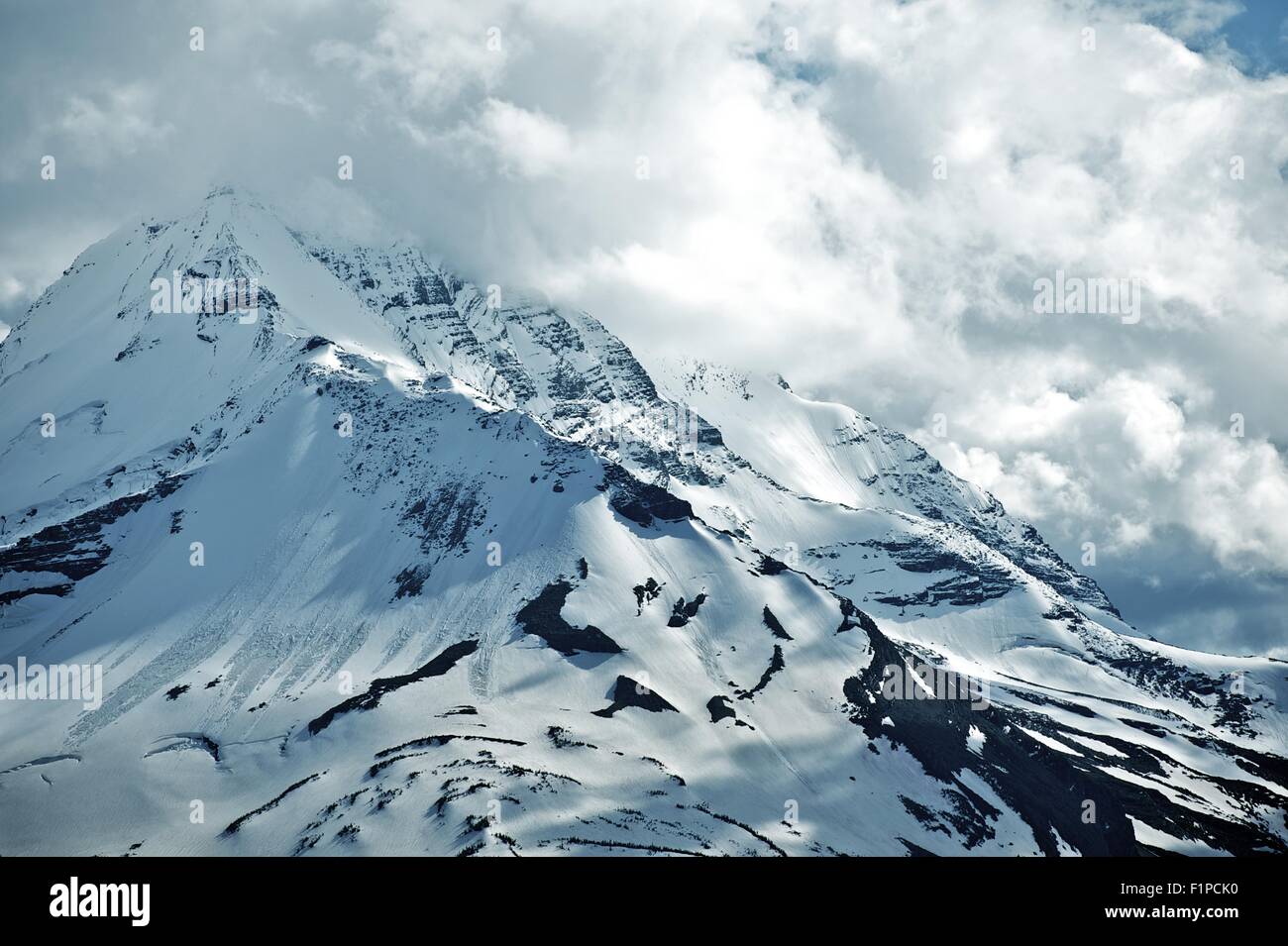 Mountain Summit - Snowy Mountain Peak in Montana, USA. Mountains Photo ...