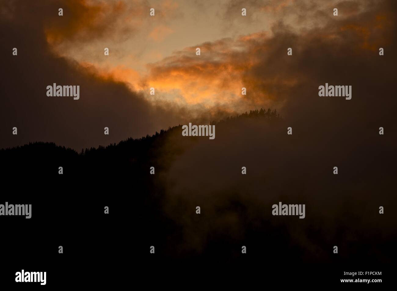 Rain shadow washington hi-res stock photography and images - Alamy