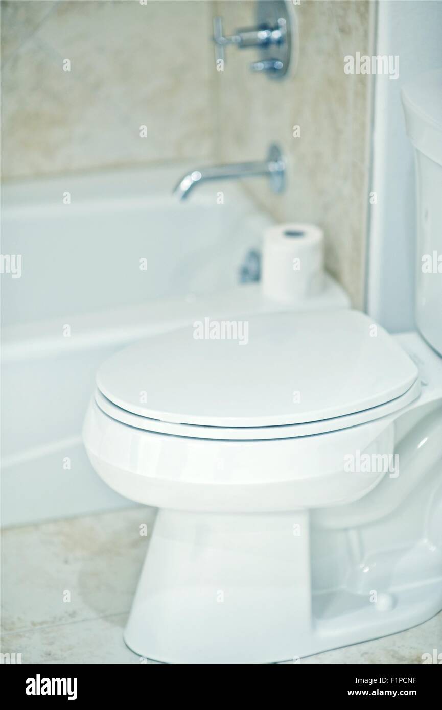 Toilet & Bathroom. Small Bathroom with Toilet Vertical Photo. Home ...