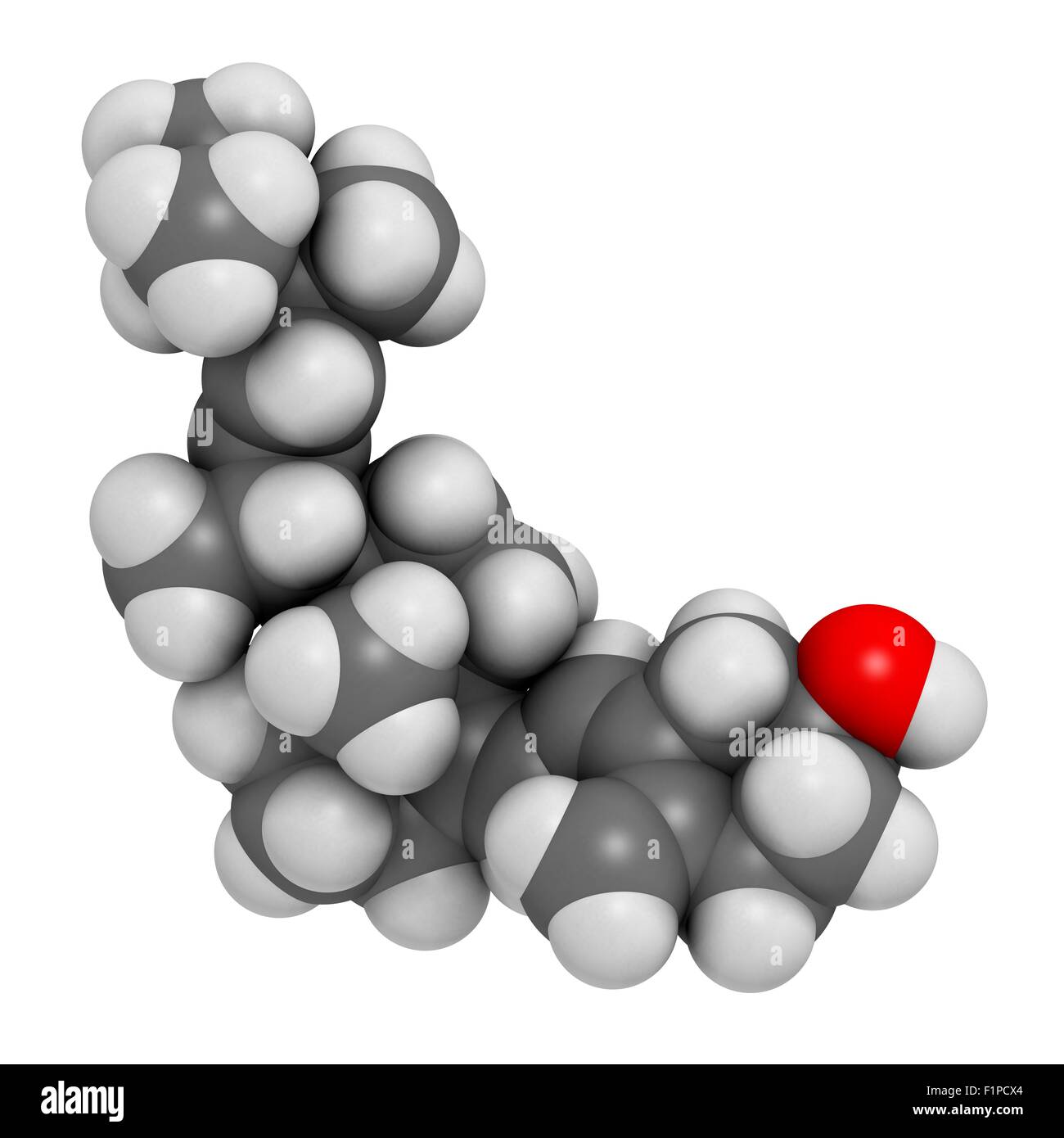 Ergocalciferol (vitamin D2) molecule Atoms are represented as spheres ...