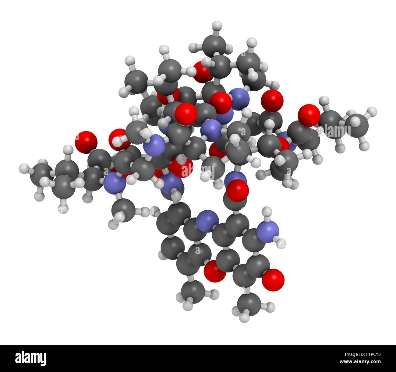 Dactinomycin (actinomycin D) cancer chemotherapy drug molecule Atoms ...