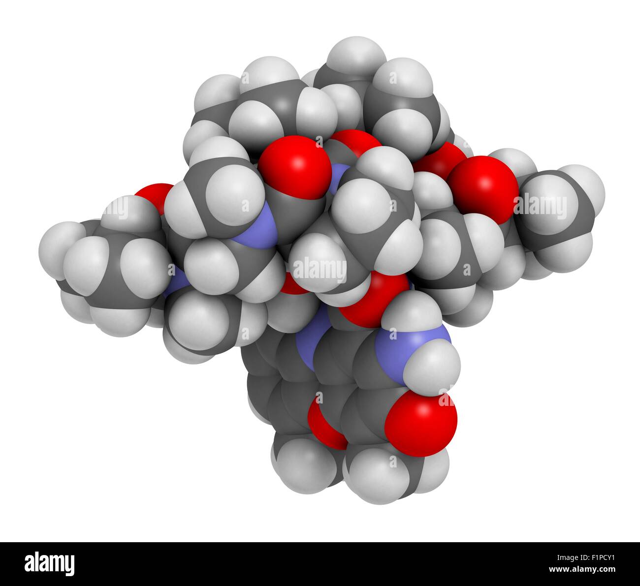 Actinomycins hi-res stock photography and images - Alamy