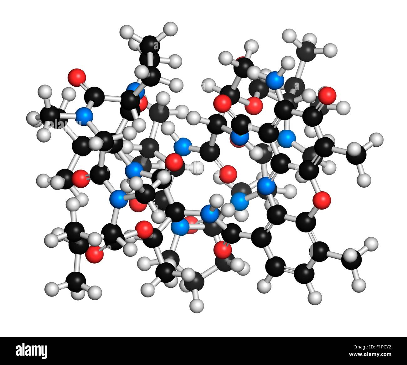 Actinomycins hi-res stock photography and images - Alamy