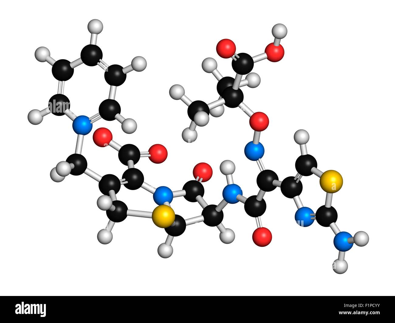 Cephalosporin drug Cut Out Stock Images & Pictures - Alamy