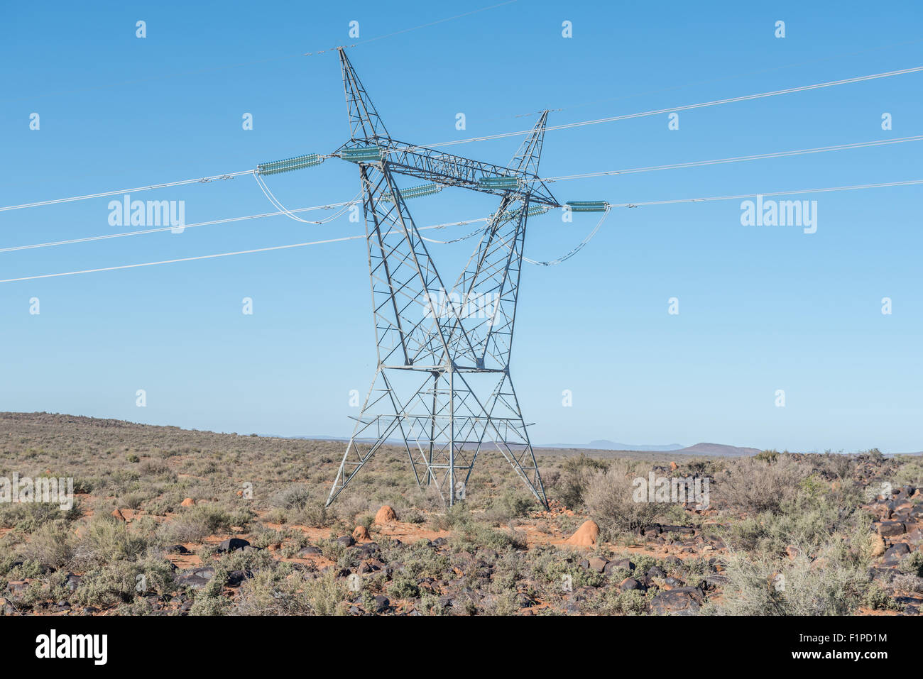 Electricity infrastructure near Britstown, a small town in the Northern ...