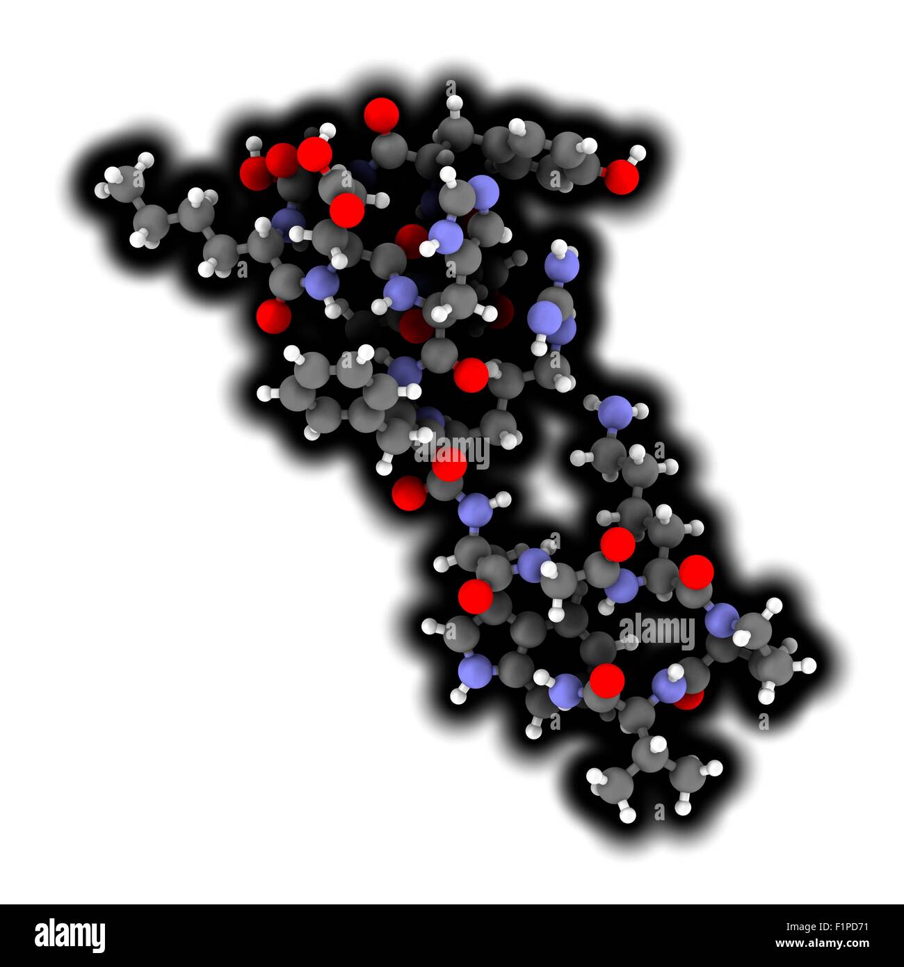 Afamelanotide (melanotan-1) photoprotective drug molecule Atoms are ...