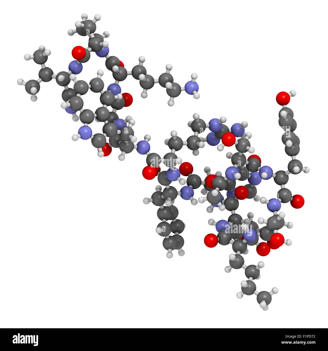 Afamelanotide (melanotan-1) photoprotective drug molecule Atoms are ...