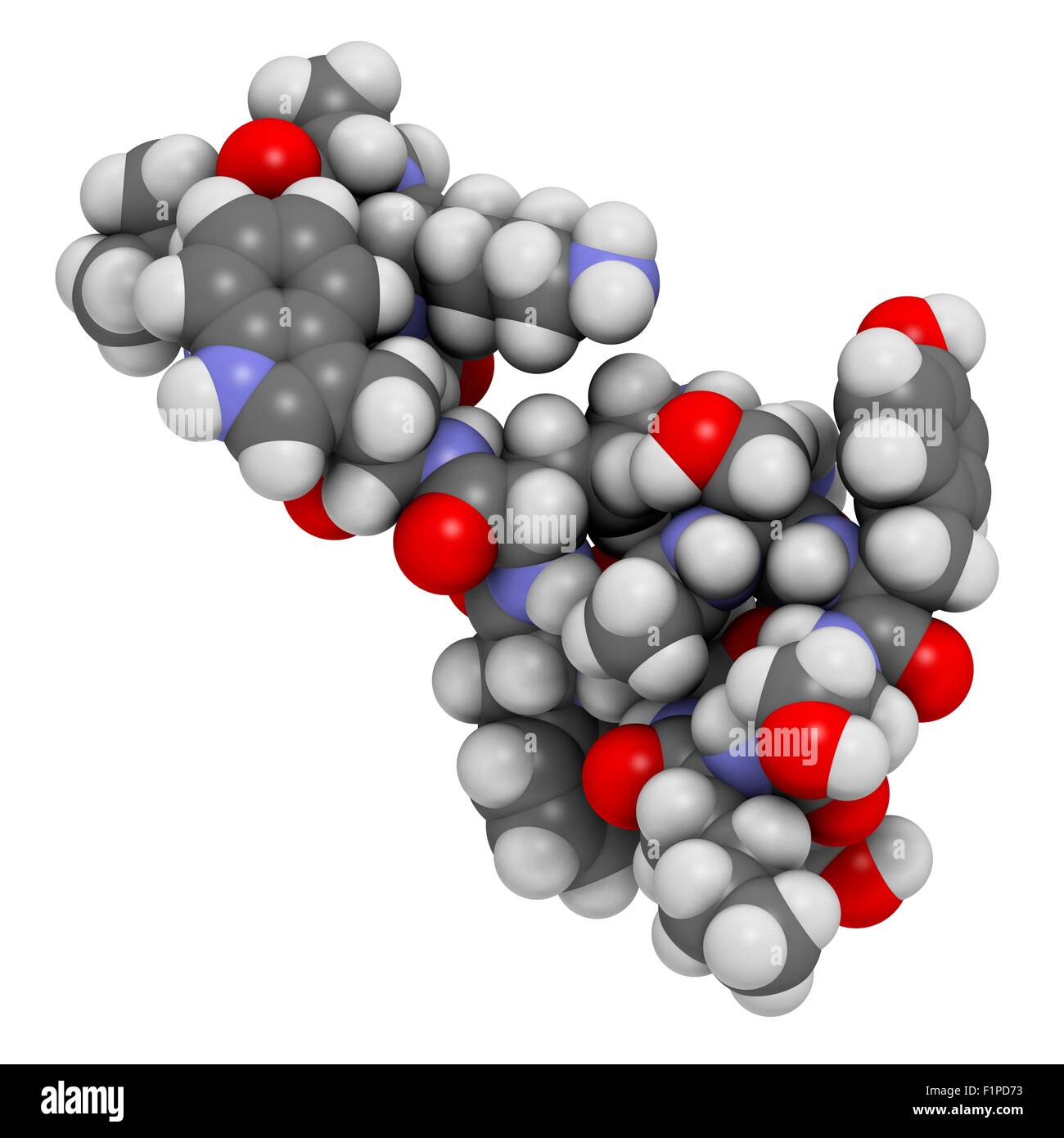 Afamelanotide (melanotan-1) photoprotective drug molecule Atoms are ...